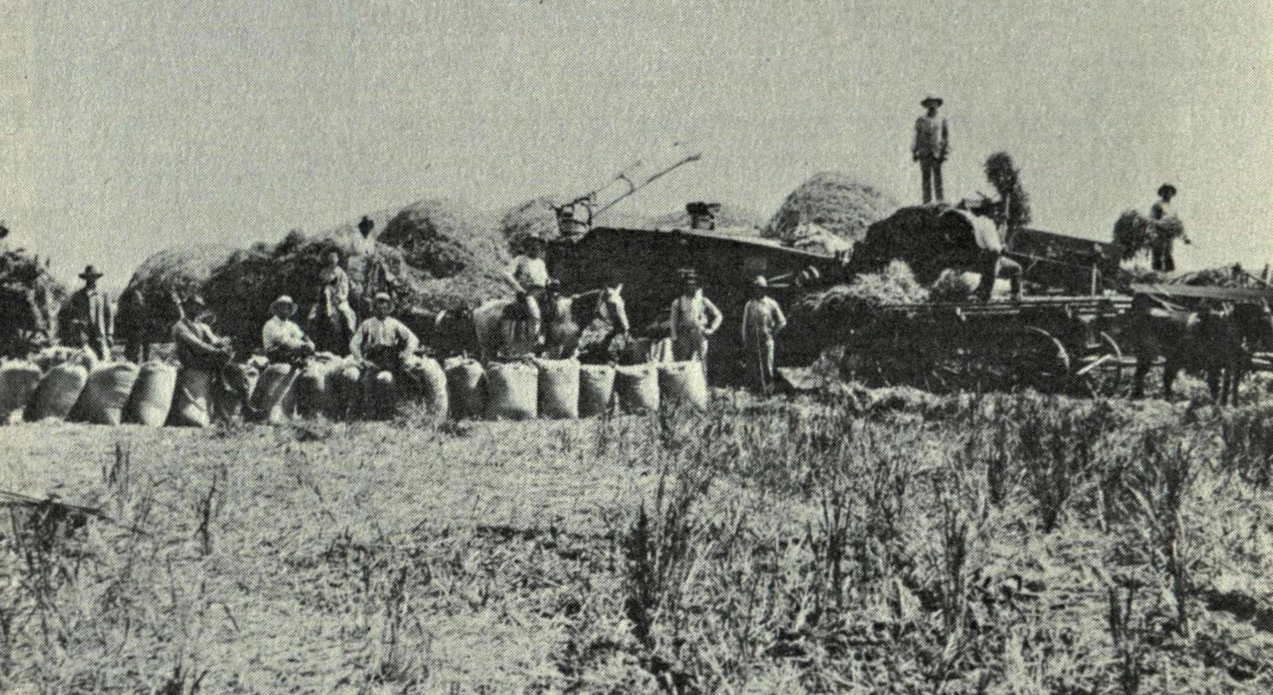 Research Agriculture In Texas